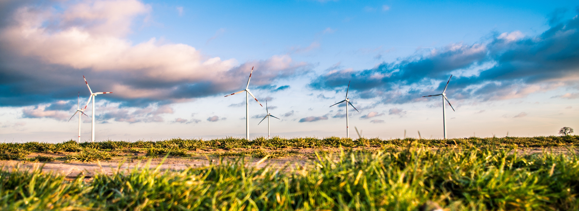 Waarom windturbines op land goed voor ons zijn - Natuur en ...