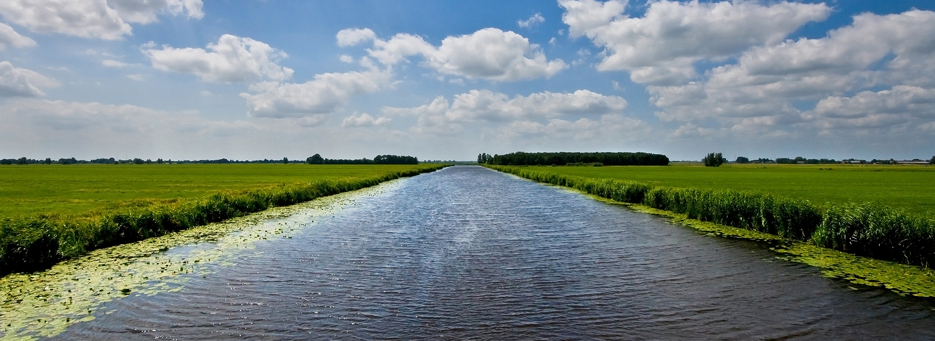 Groenblauwe Leefomgeving - Natuur en Milieufederatie Zuid-Holland